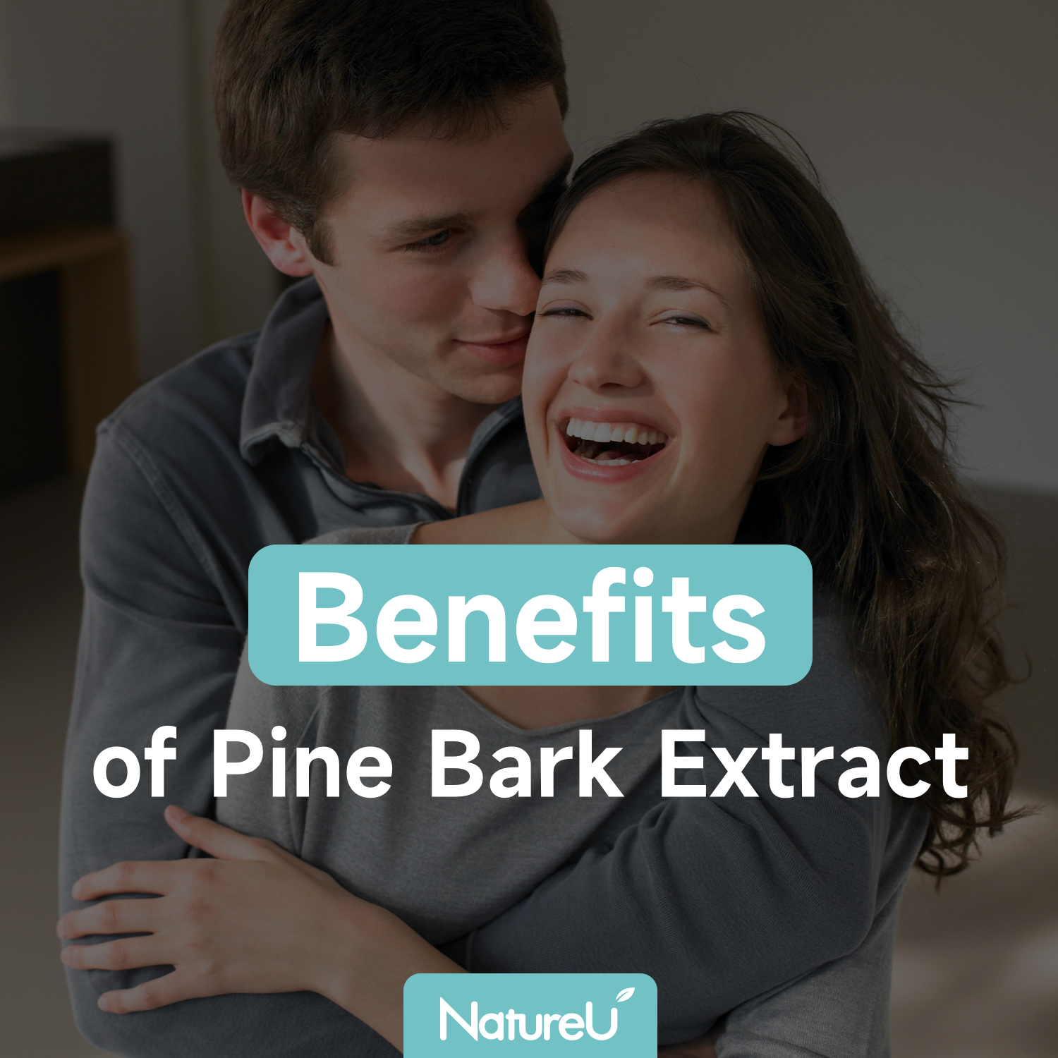 Pine Bark Extract: Enhance Men Health Naturally – NatureU Health